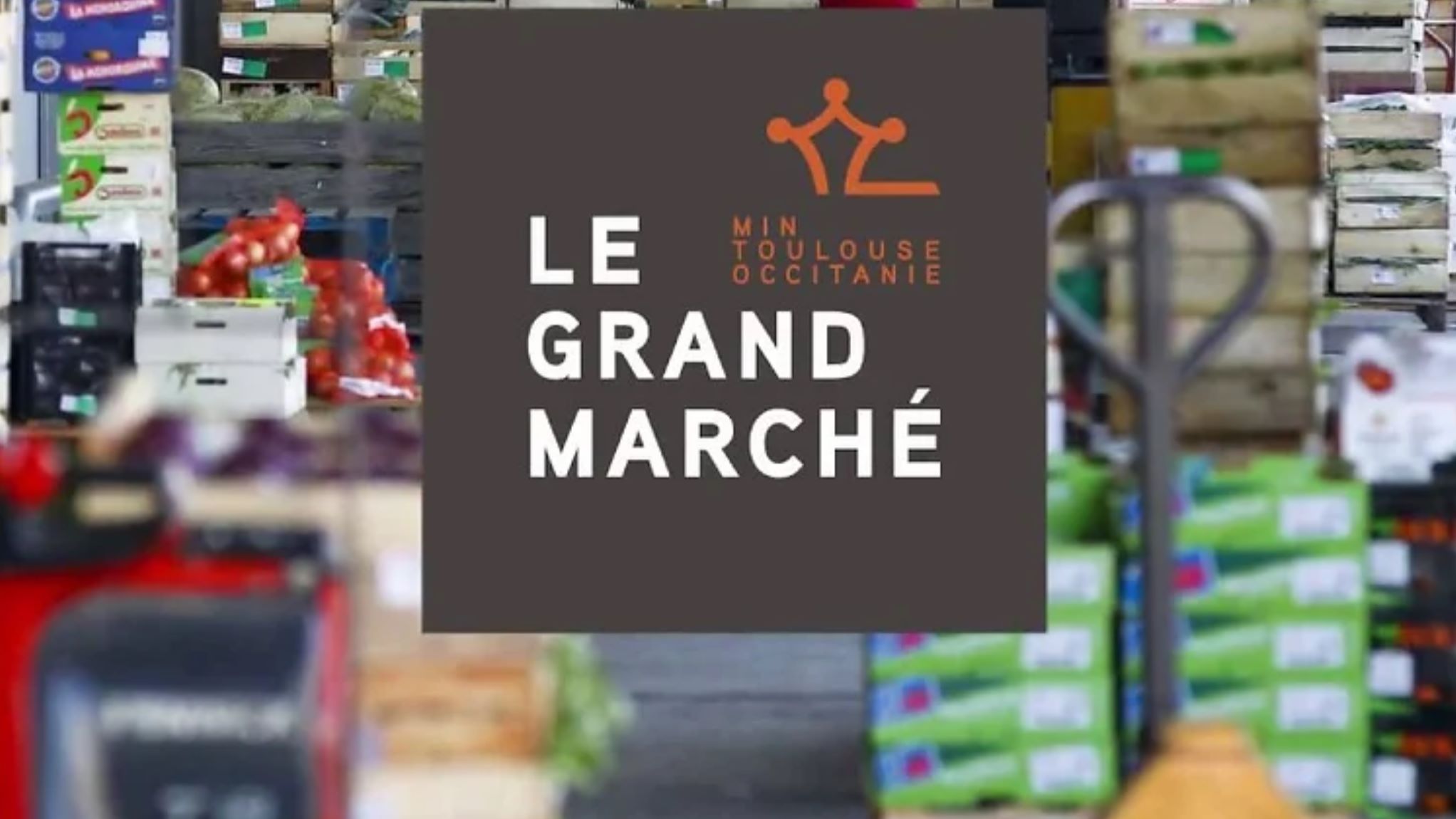 TVDiCi - Le Grand Marché lance un appel à projet pour l'exploitation d ...